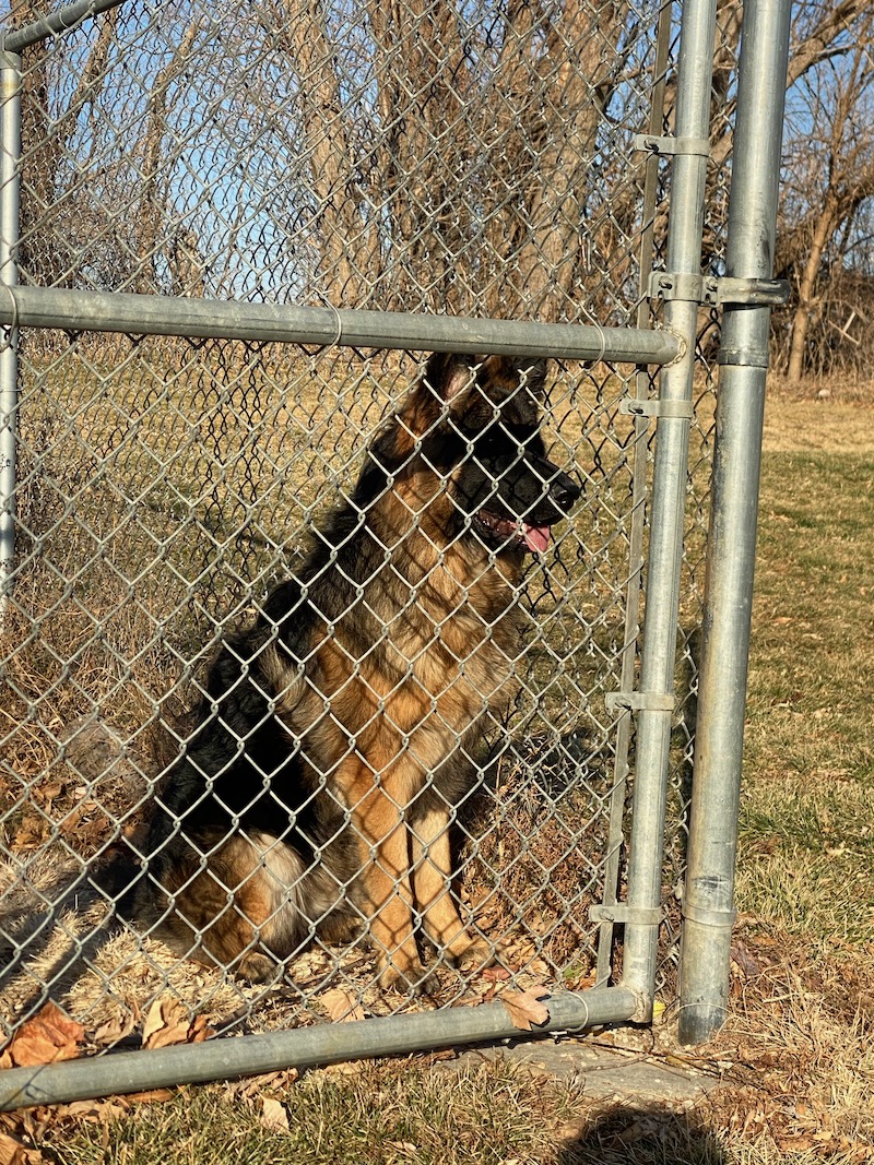 Boarding | Winterset Veterinary Center
